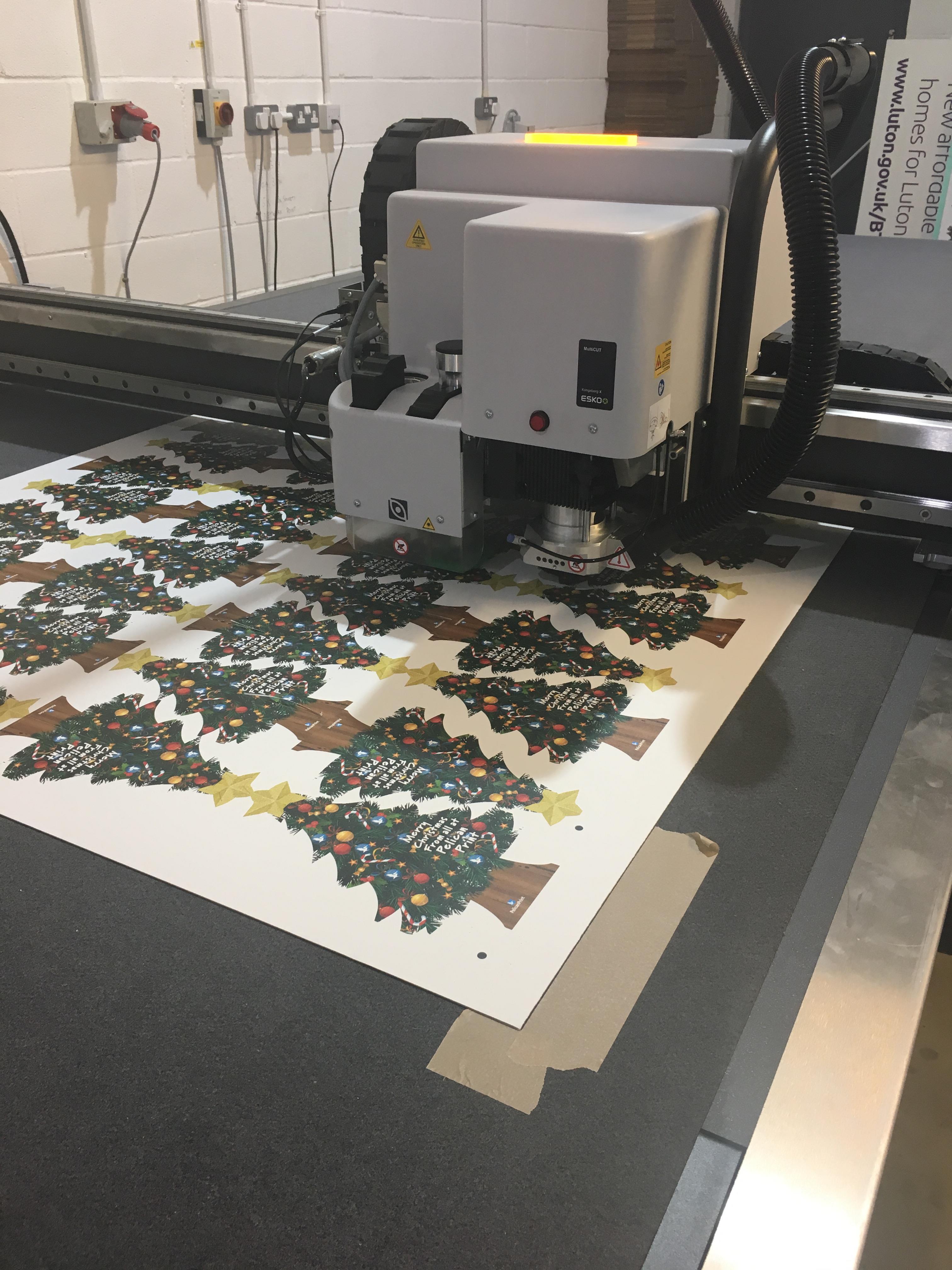 Pelican starts new era with Esko - Digital Printer