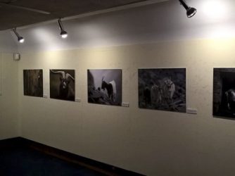 Antalis supports worthy causes - Digital Printer